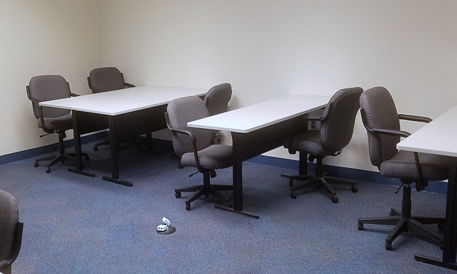 Large Lab – Cranberry Hill Associates, Inc.